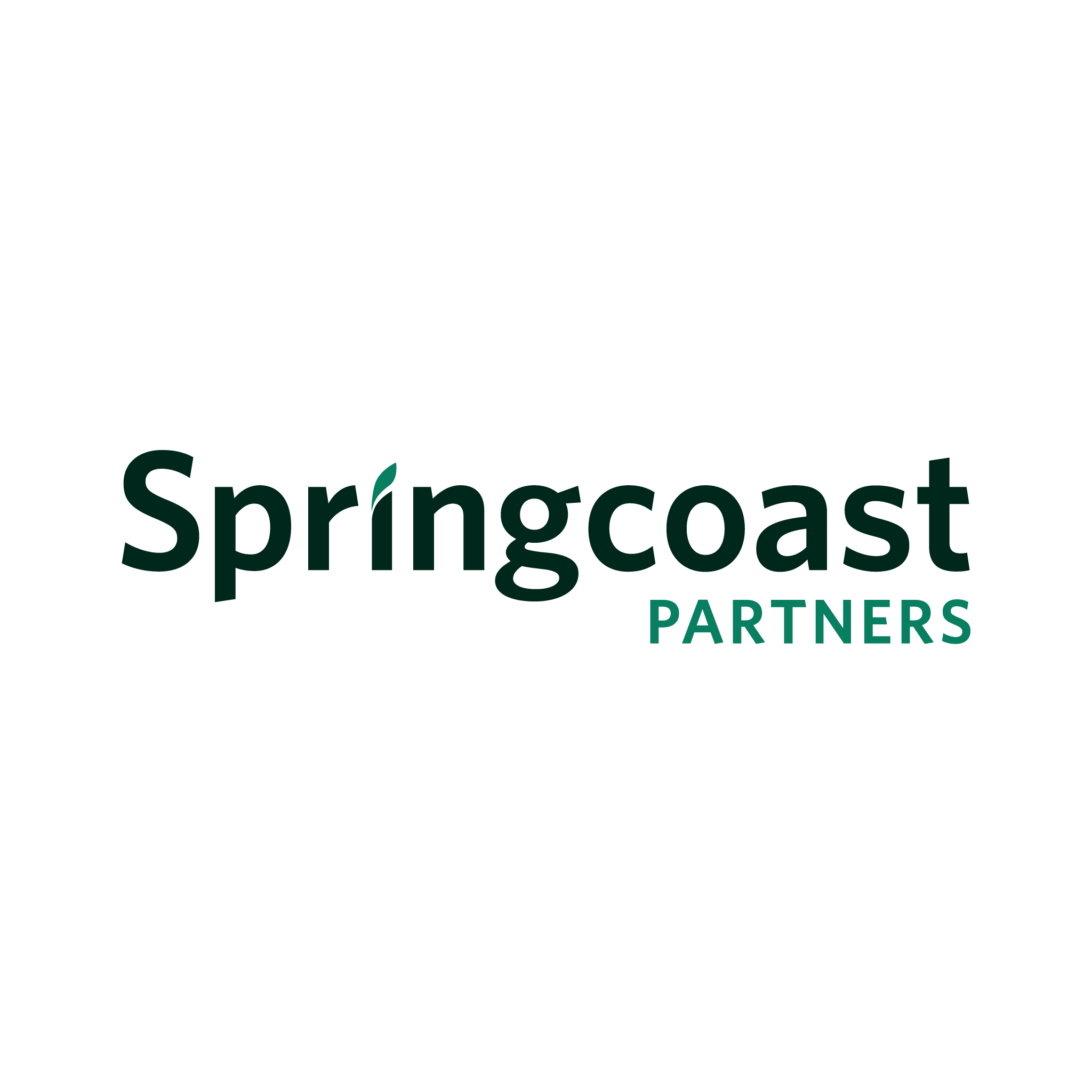 Overhaul - Springcoast Capital Partners